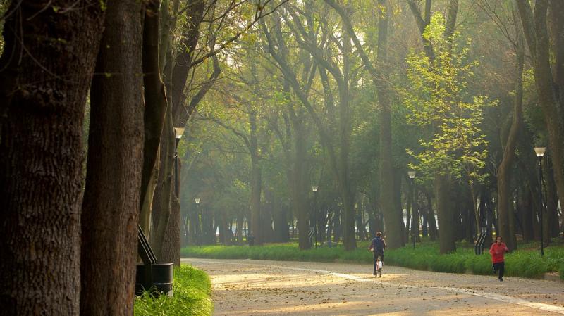 Bosque de Chapultepec, el "pulmón" de la CDMX