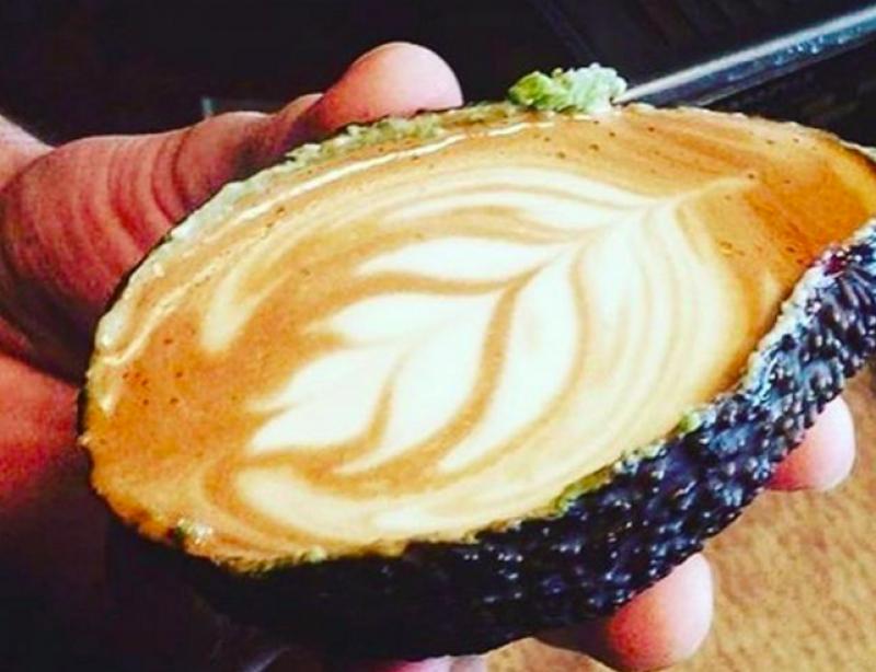 'Avolatte', la moda entre los hipsters que combina café y aguacate