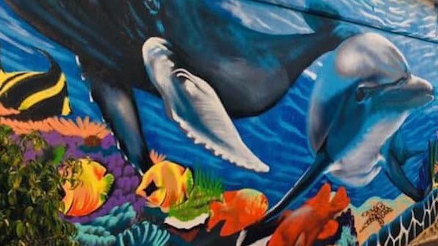 Pintan mural en honor al mar, en el Cobach