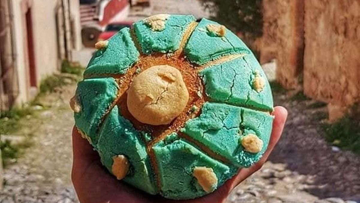 Peyoconcha: la concha inspirada en el peyote de Real de Catorce