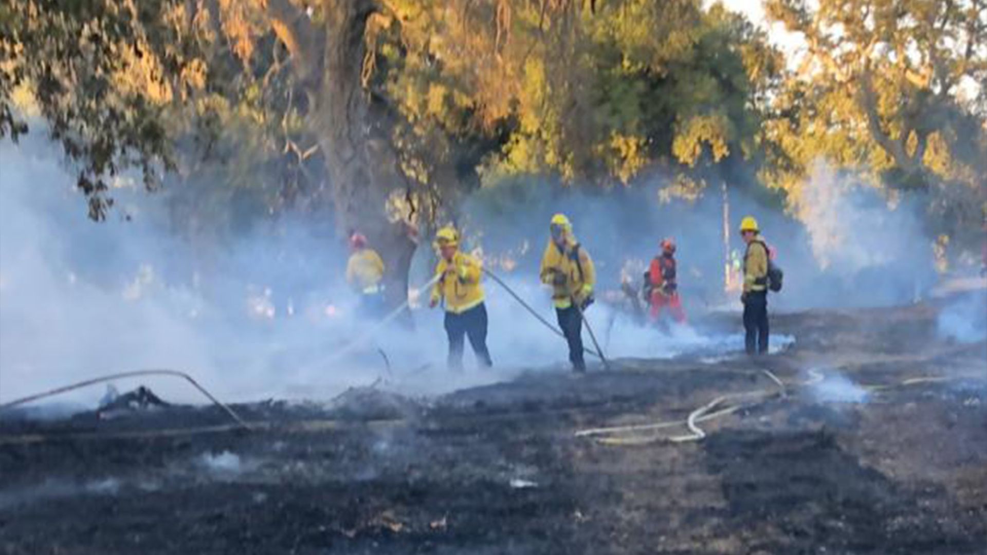 Incendios en Alpine, California, contenidos al 65 por ciento