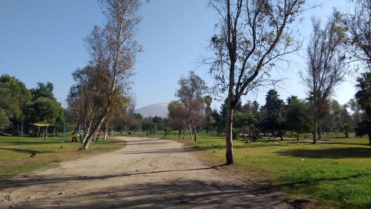 VIDEO: Parque Morelos, excelente opción para la familia