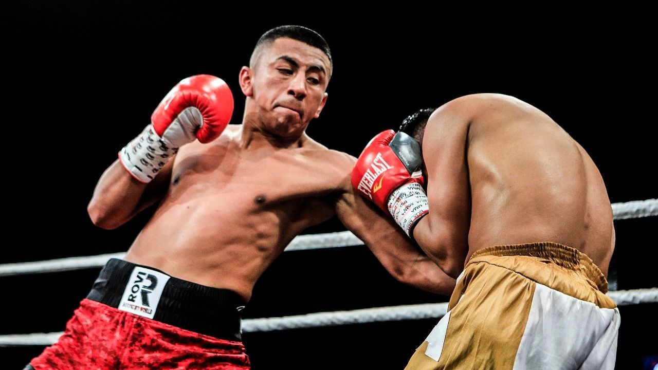 Alpha Promotions con varios proyectos en puerta