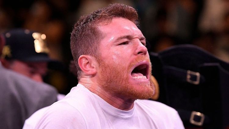 Un gato de mil dólares, la excéntrica mascota del Canelo Álvarez