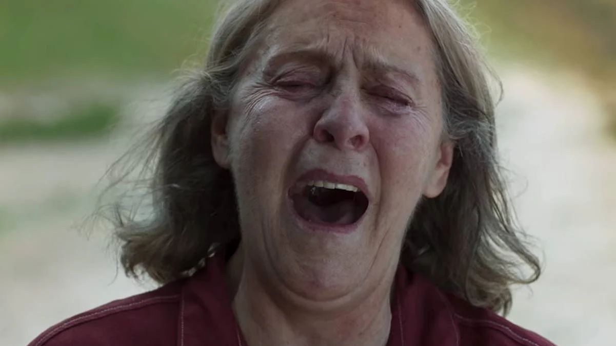 Ruido: la película que aborda el tema de los desaparecidos casi llega a ...