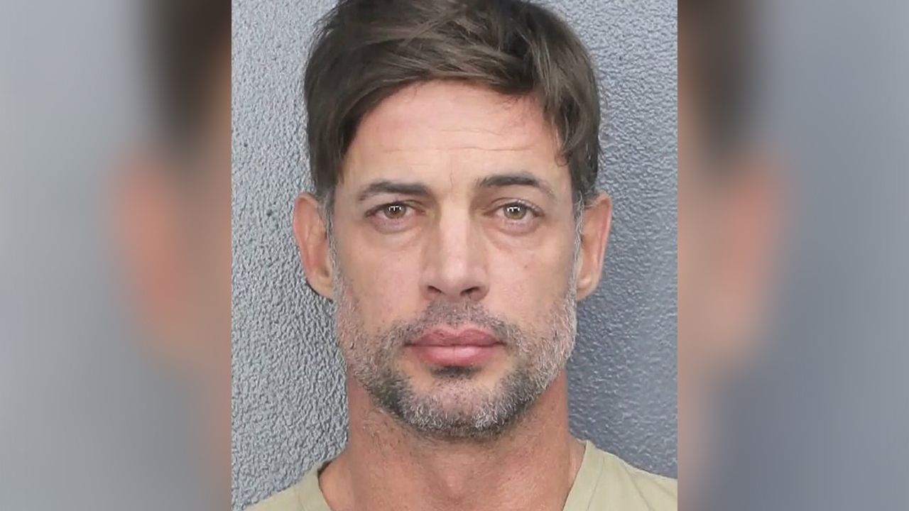 Esta sería la razón por la cual detuvieron a William Levy